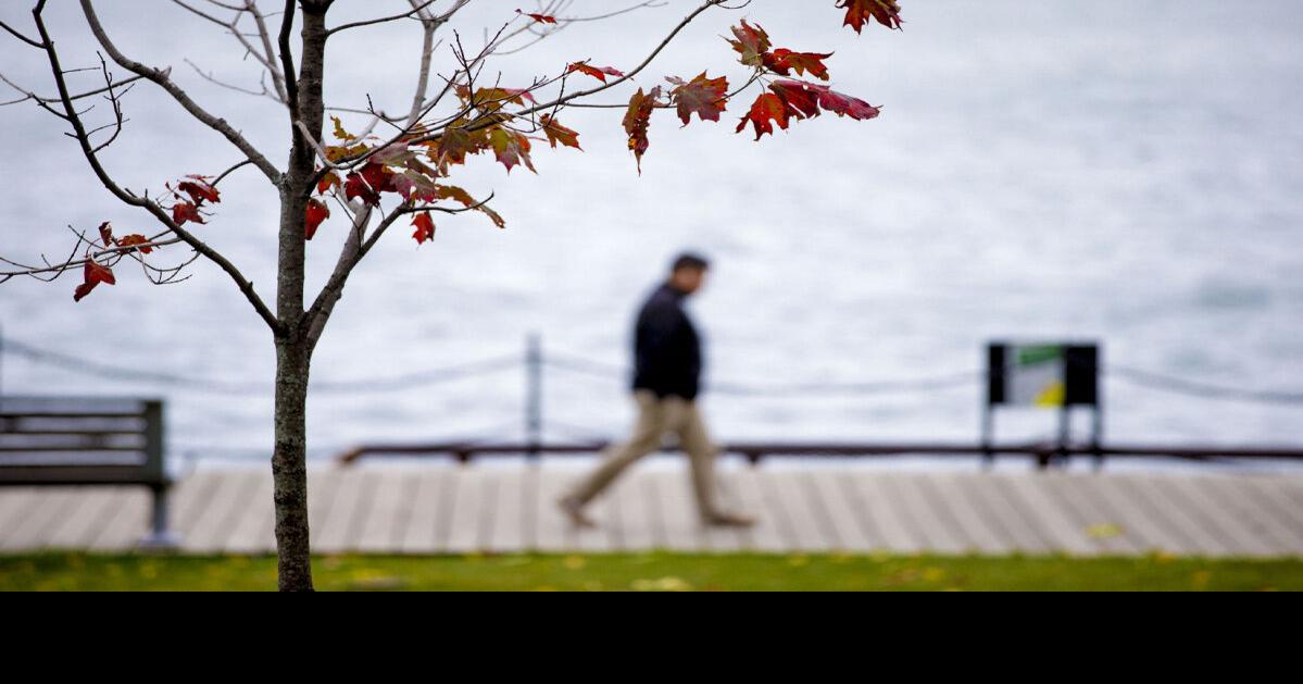 Toronto could see its first flurries of the season by the end of the week
