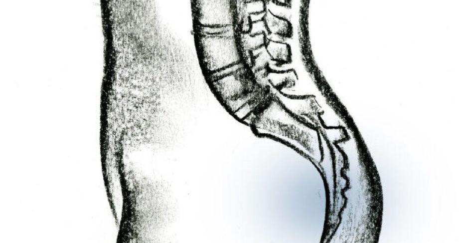 The tailbone: fascinating facts about body parts