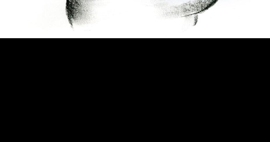 The tailbone: fascinating facts about body parts