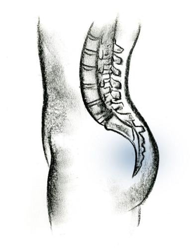 The tailbone: fascinating facts about body parts