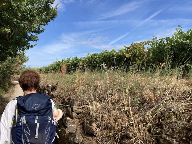 Andrew McCarthy on walking the Camino with his son