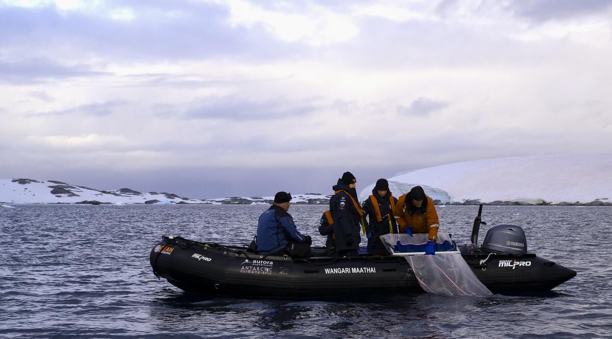 Canadians find hundreds of microplastics in Antarctica’s water