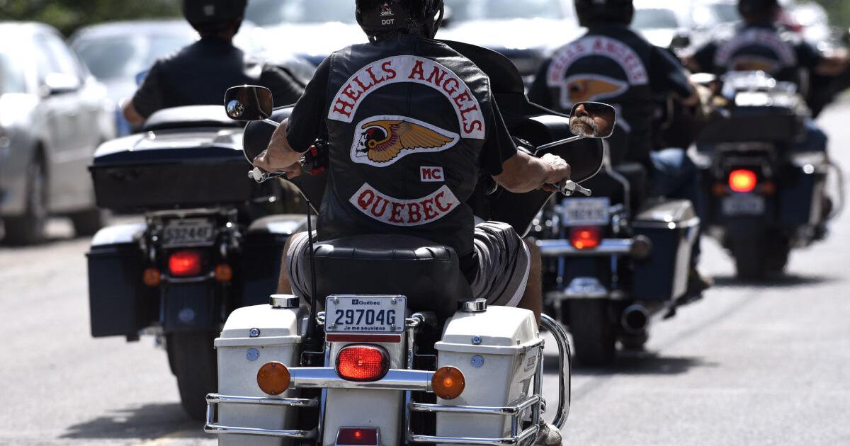 1 dead after New Brunswick crash involving Hells Angels, other biker ...