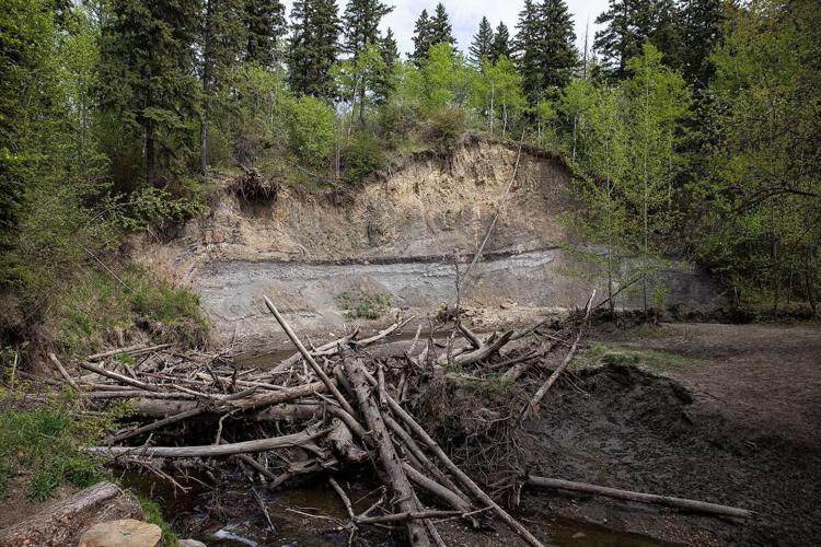 Residents frustrated over constant drainage issues in Mill Creek Ravine