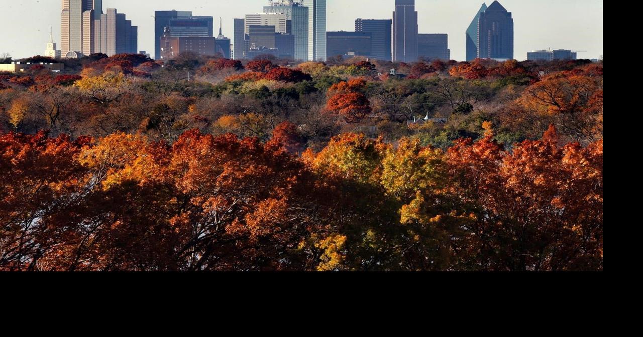 Dallas area leads American cities in 2018 population growth