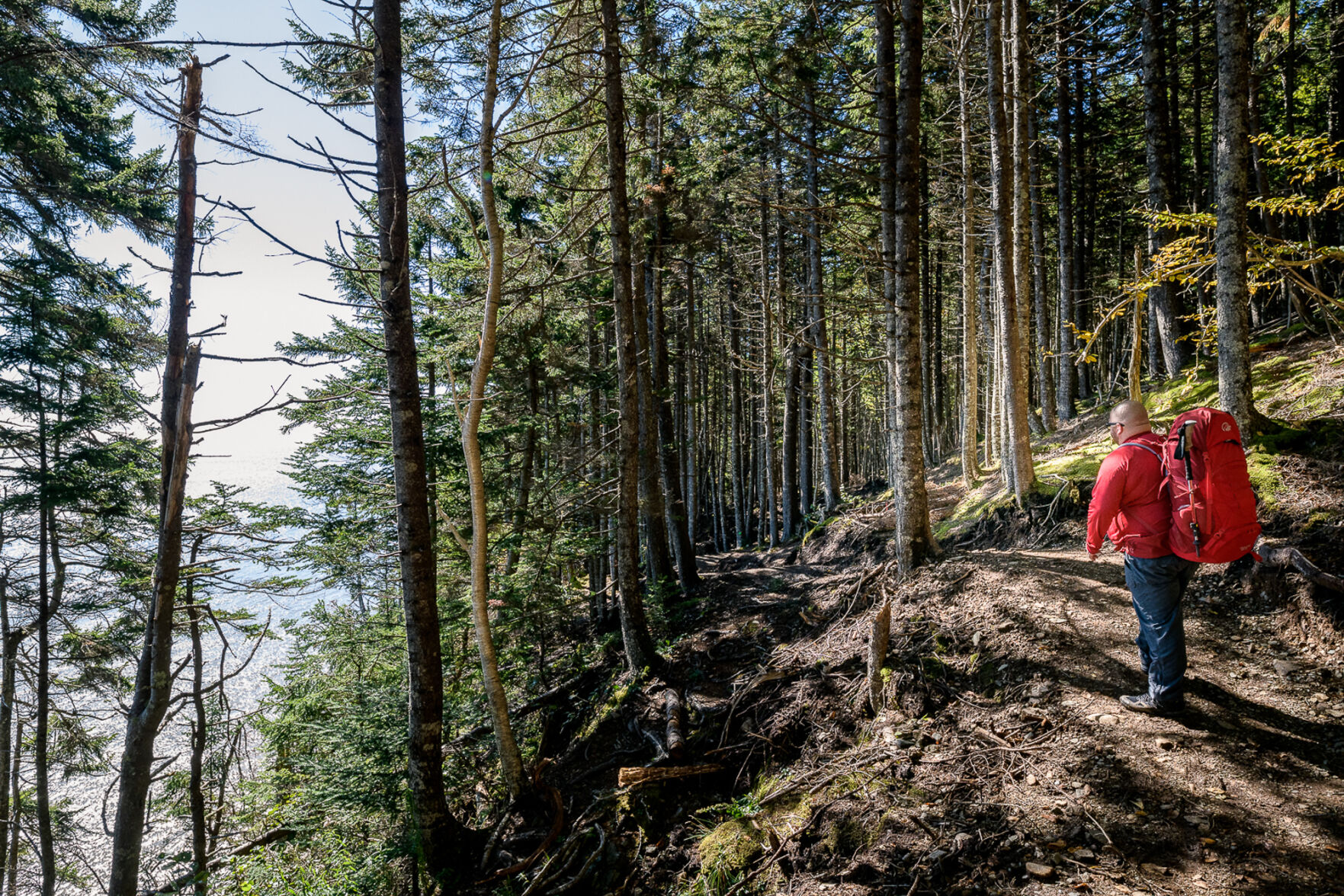 How the Trans Canada Trail is uniting Canadians behind a common goal ...