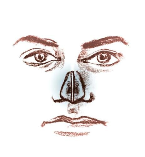 partition separating the nostrils