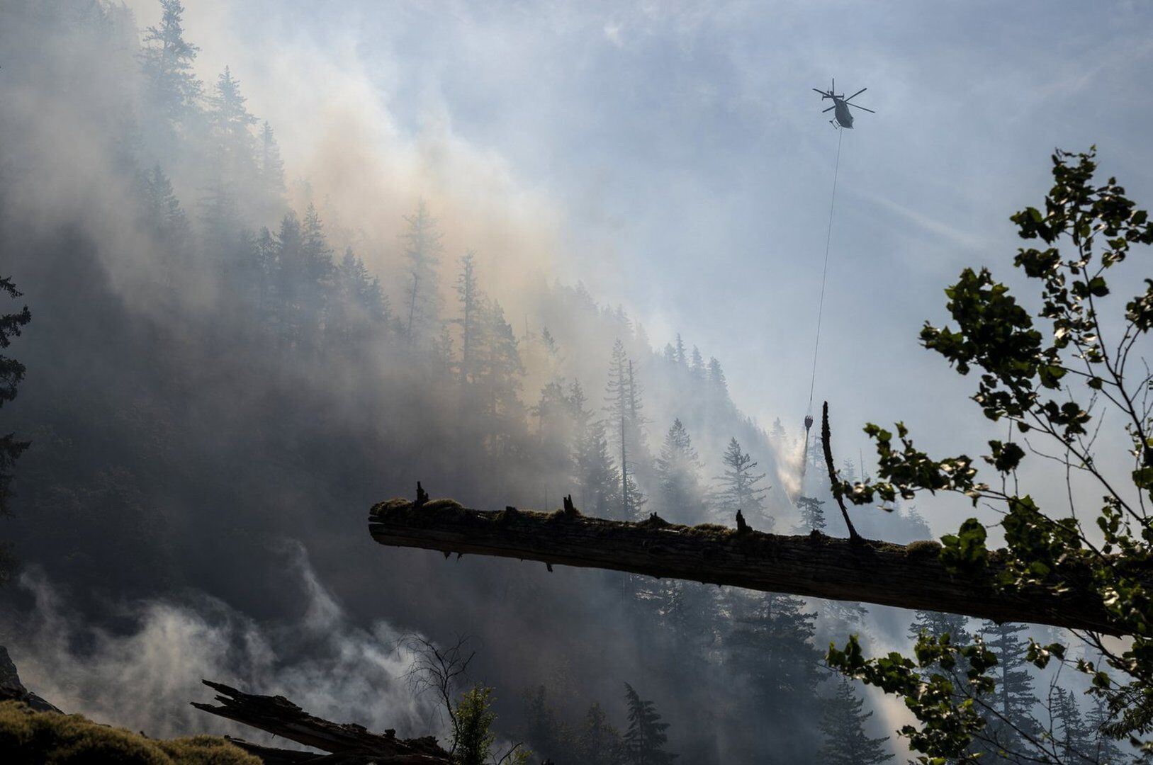 Ottawa launches national aerial firefighting fleet for 2026 wildfire season