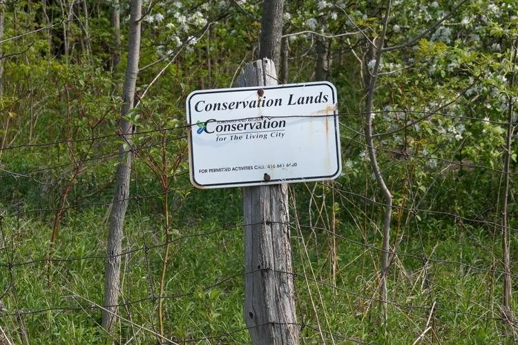 A chronology of key events following Ontario's decision to develop ...
