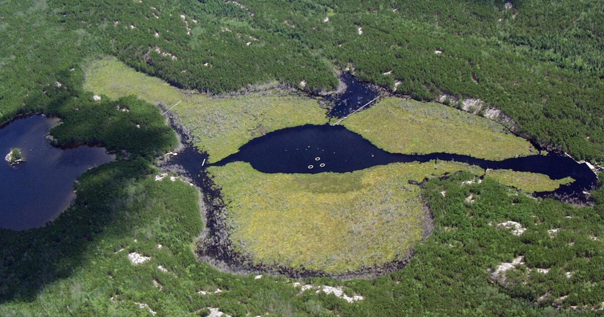 Experimental Lakes Area research facility in Ontario finds new manager