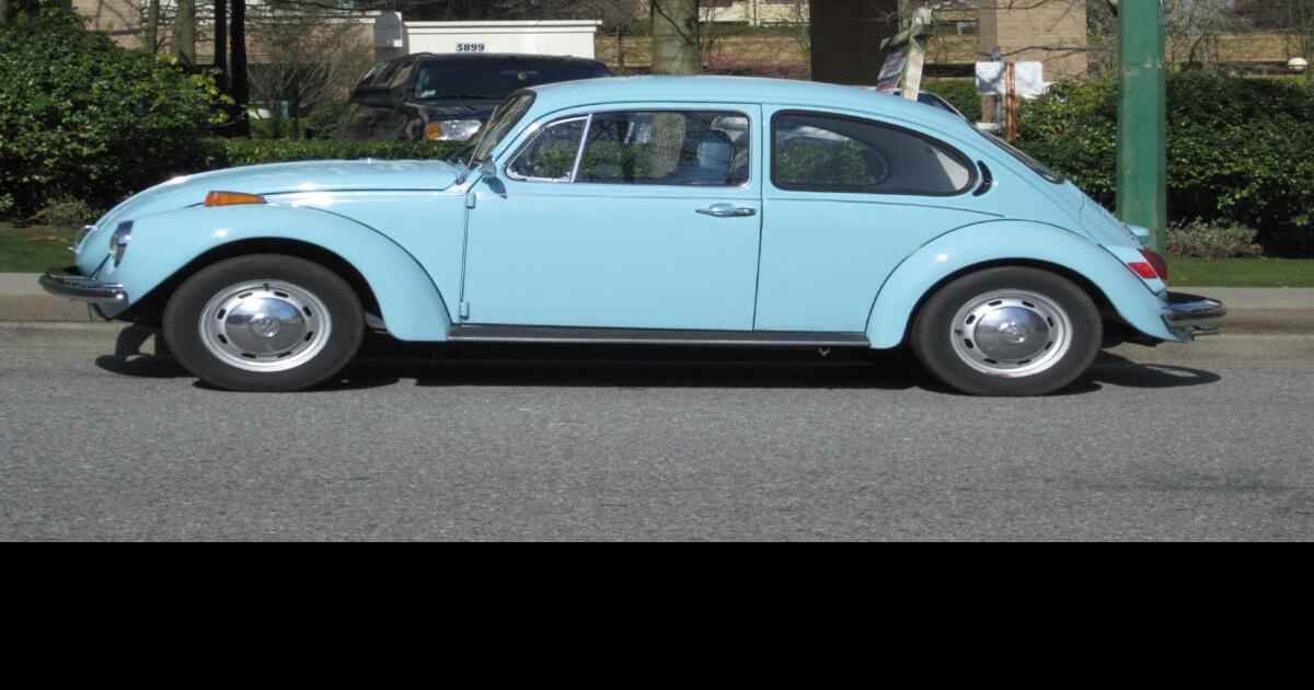 Eye candy: Smitten by a desert beetle