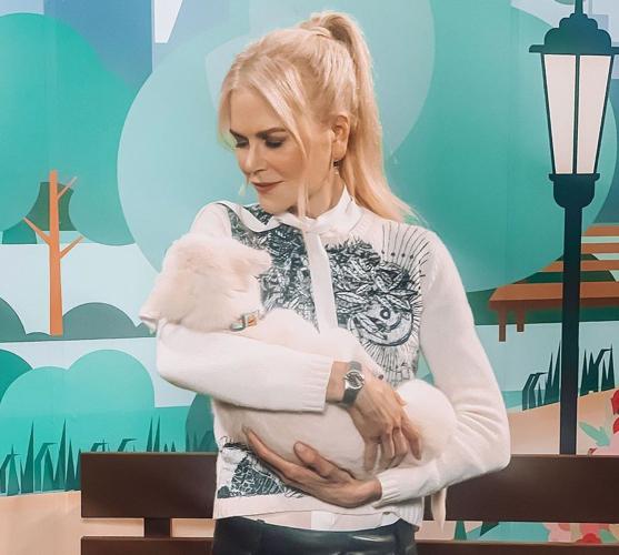 Stargazing at TIFF: Nicole Kidman’s read your Goldfinch reviews and she ...