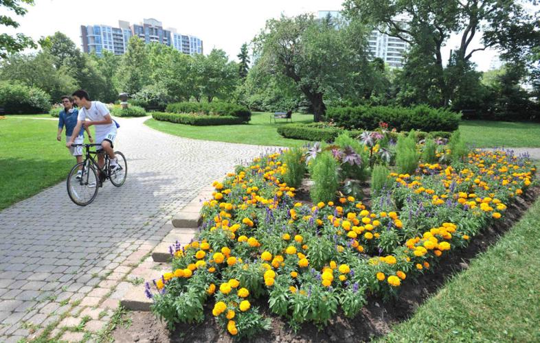 Toronto striving for green spaces in a growing city