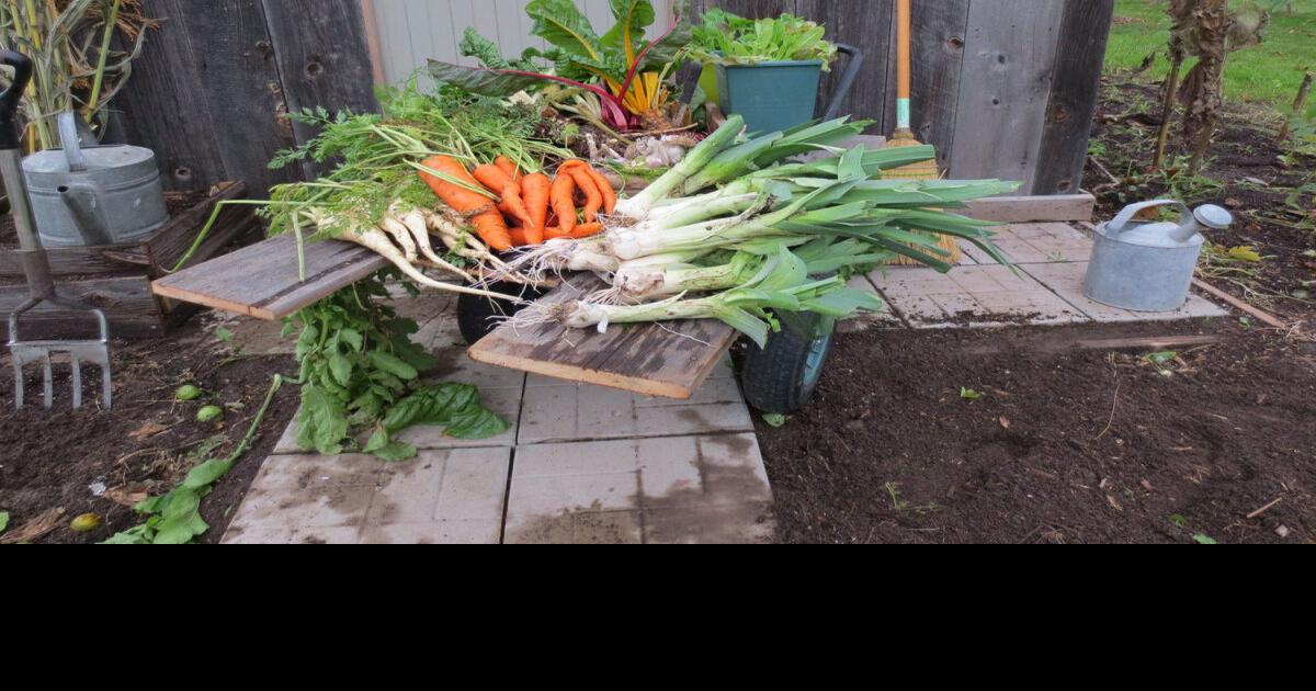 Your garden’s final surprise is an encore of edibles
