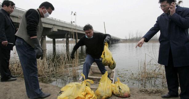 Harsh tradition may explain dumping of Chinese babies' corpses