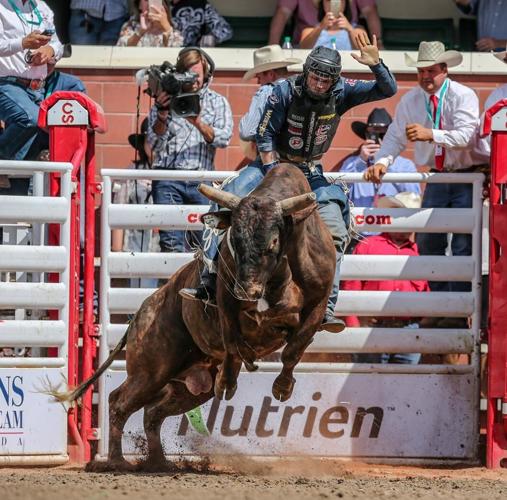 Calgary Stampede Rodeo a daily thrill