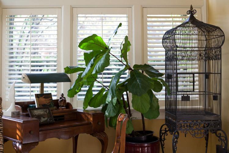 Wendy Crewson’s home on the range