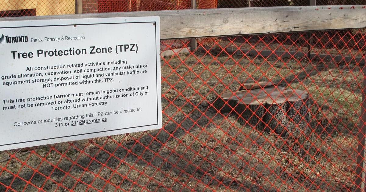 If a tree falls in a ‘tree protection zone,’ is it against the city’s ...