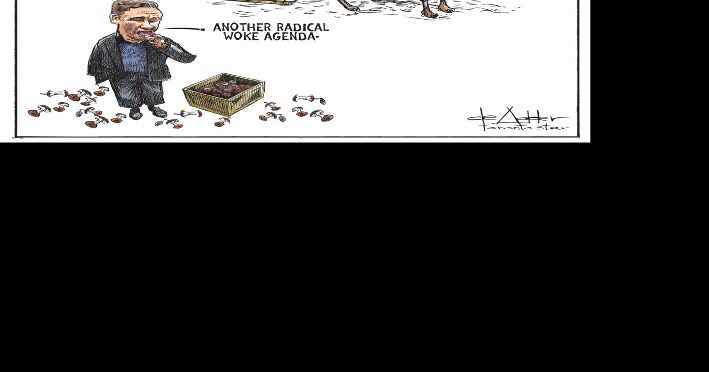 Michael de Adder: Pierre Poilievre