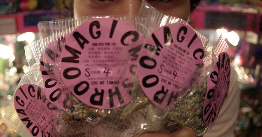 Tune in: psychedelic drugs are back