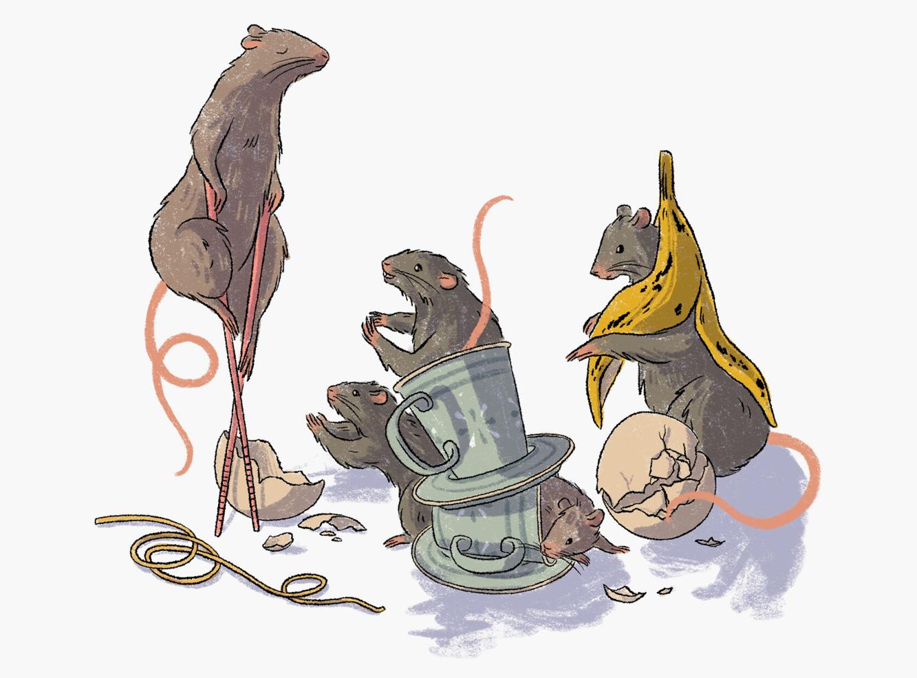 How Toronto’s rat problem got so bad — and what we should do