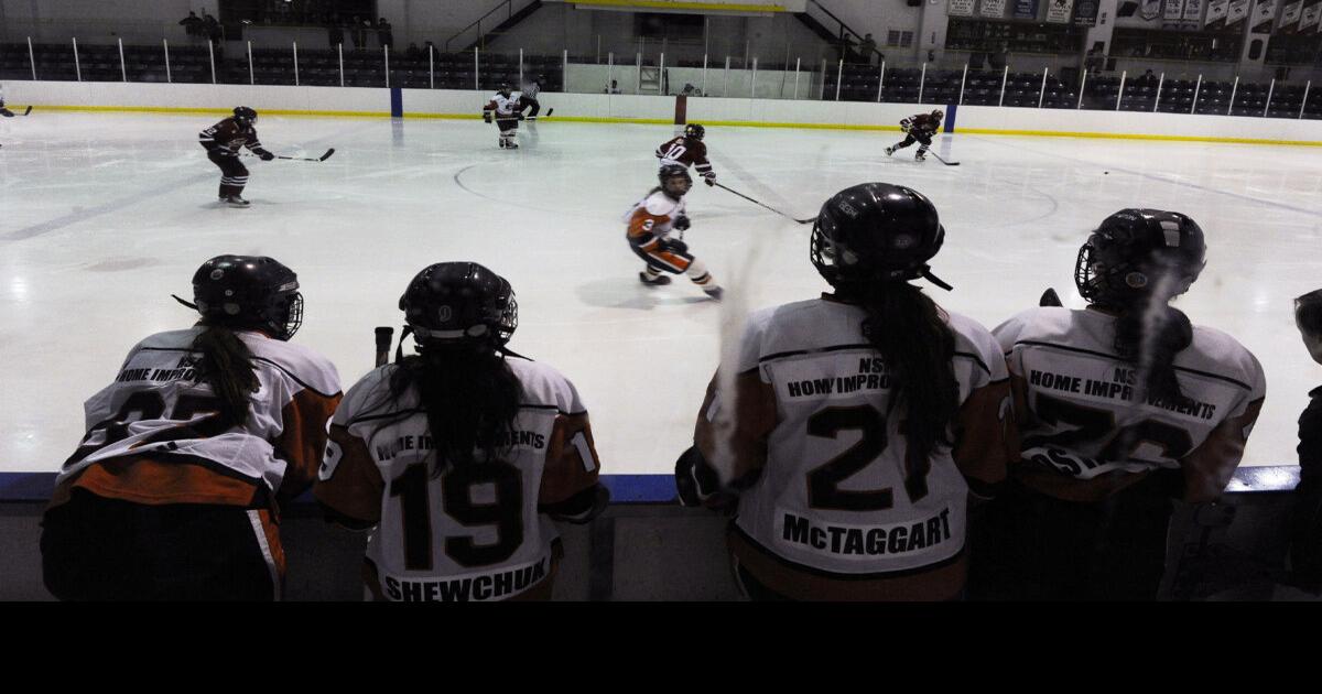 Fundraising begins for Leaside Arena