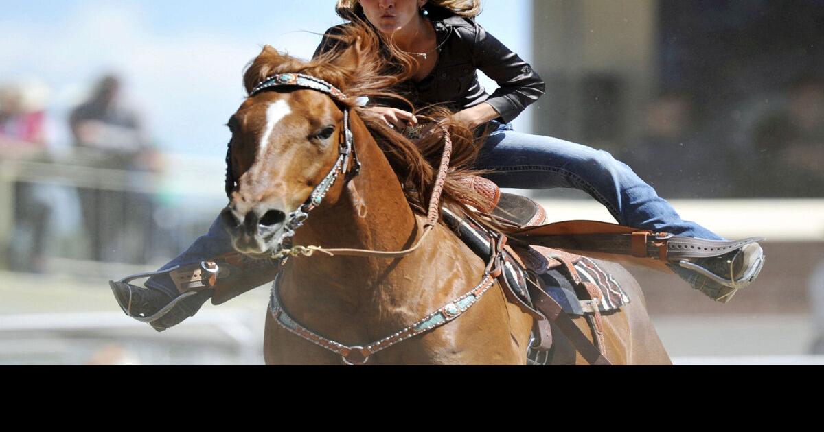 How are Calgary Stampede horses ending up on the dinner tables of Europe?