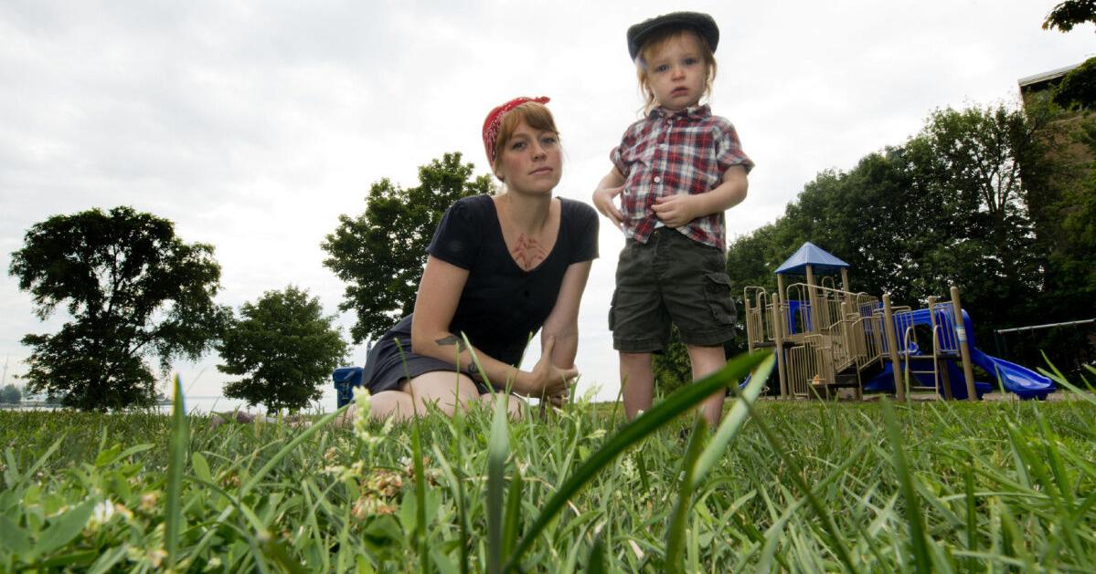 Toronto data reveals hundreds of discarded syringes