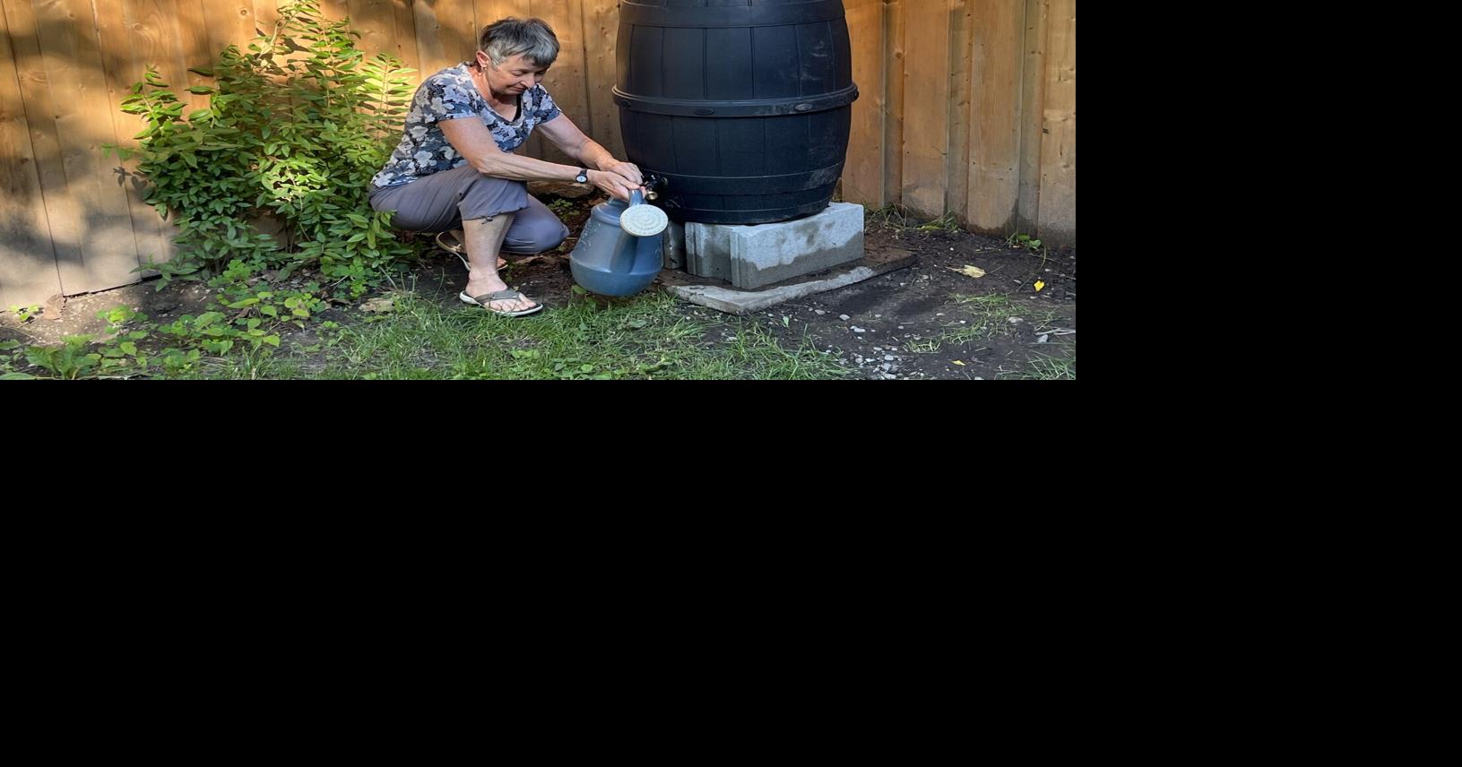 Outdoor home improvements law: backyard blunders lie in wait