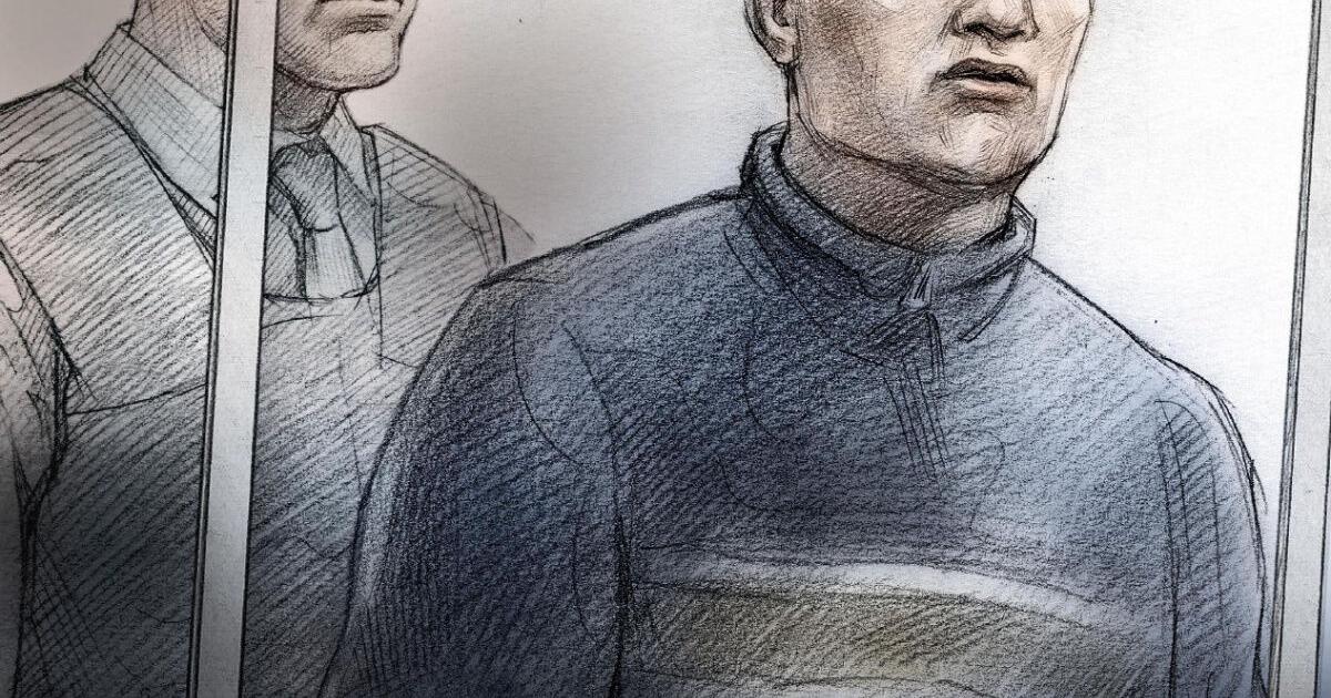 Impaired driver Roman Luskin gets eight years for crash that killed ...