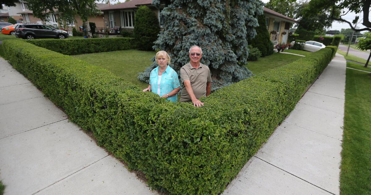Decades-old hedge target of suspected ‘vexatious’ complainer