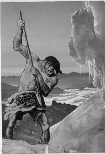 Neanderthals not so dumb when it came to fire: study