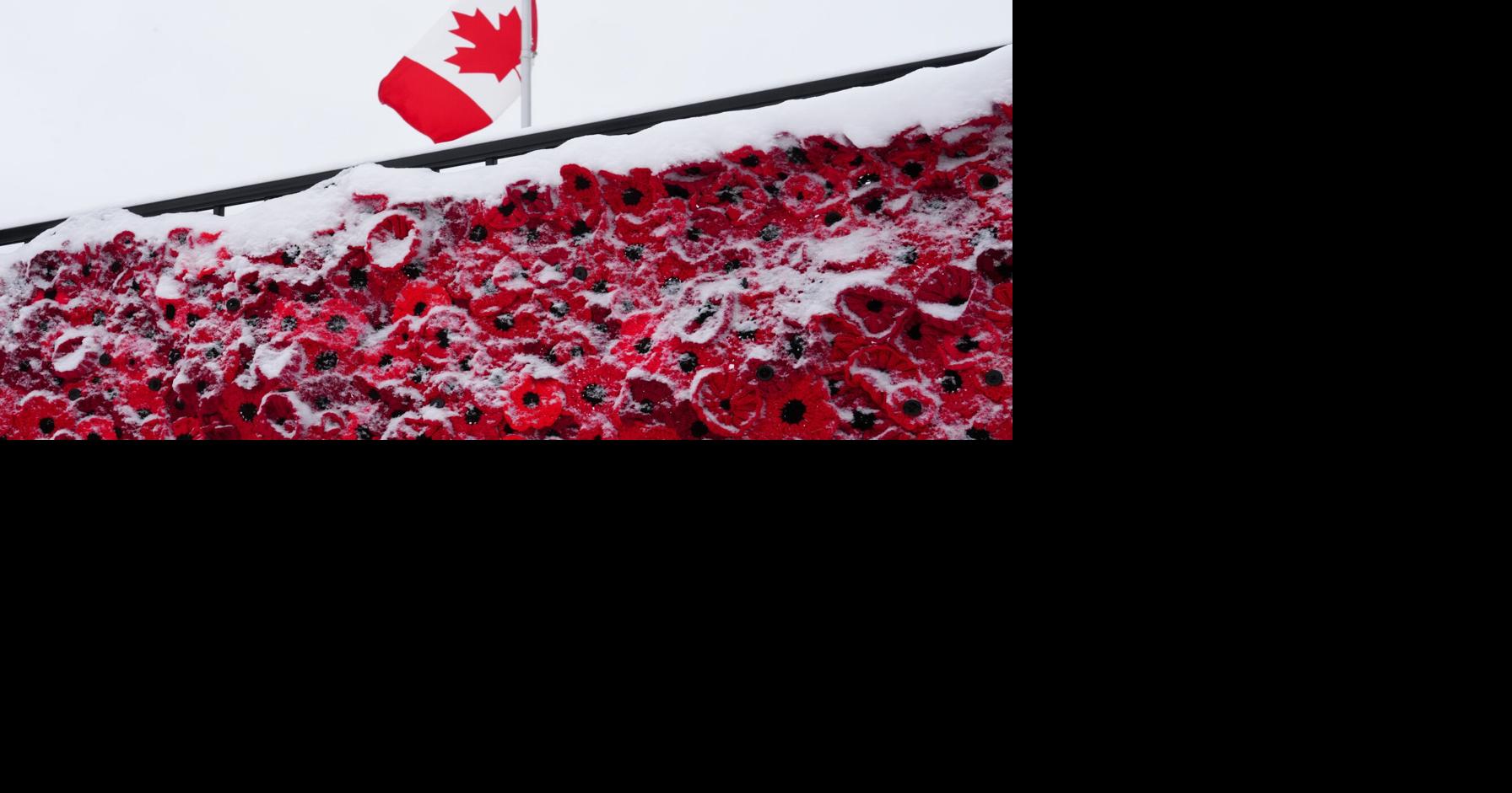 Where were all the Remembrance Day poppies? Letters
