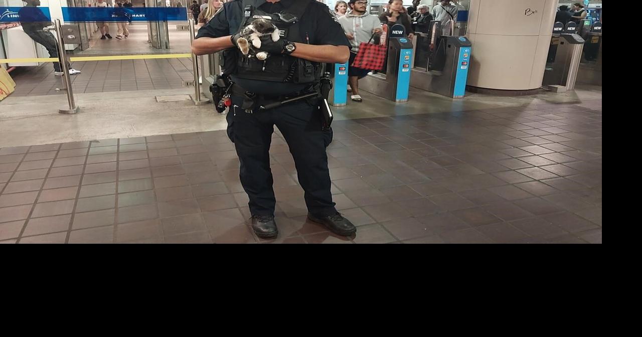 Police return emotional support rabbit that ran loose in Vancouver ...