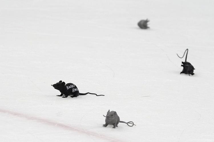 Brad Marchand embraces Panthers' rat-throwing tradition, which goes ...