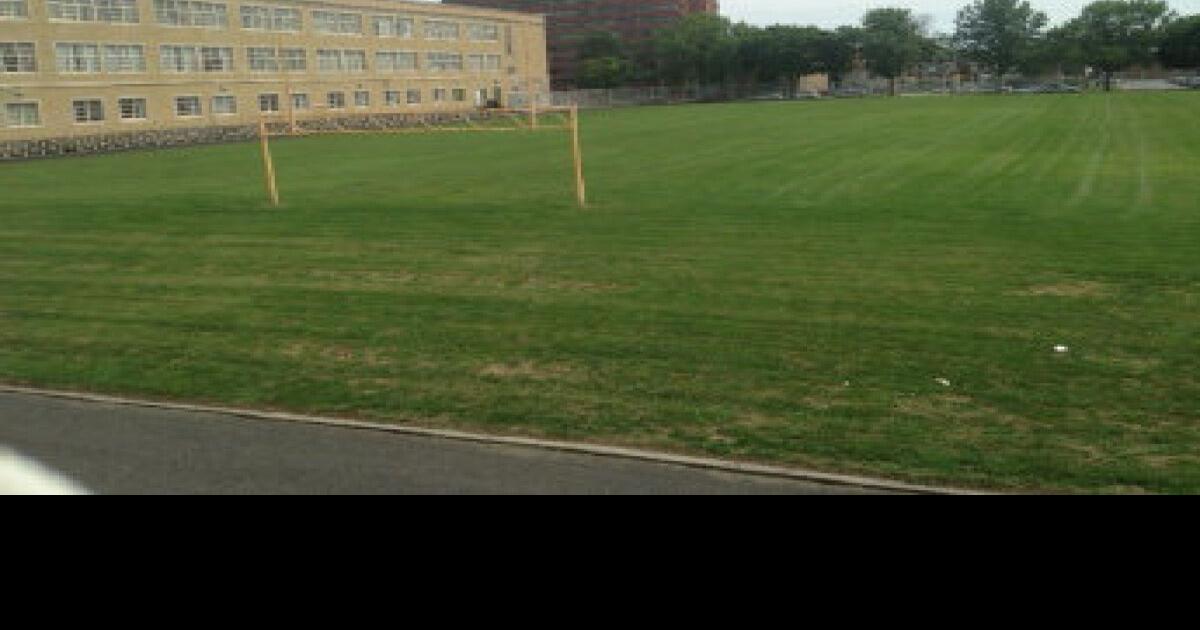 Blame vandals for Danforth Collegiate schoolyard lockdown: The Fixer