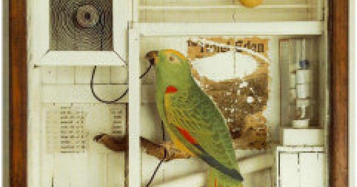 Our fascination with the things that define us