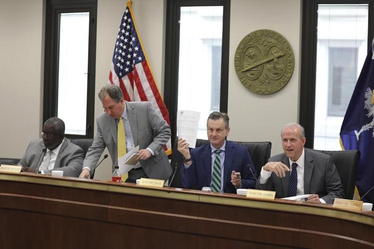 South Carolina making progress to get more women in General Assembly ...