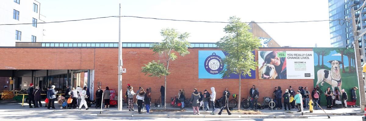 Inflation forcing pet lovers to go hungry to feed animals