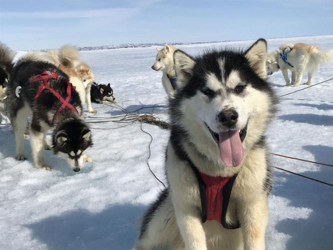 Dogsledding and flightseeing in Nunavut, Canada’s youngest territory