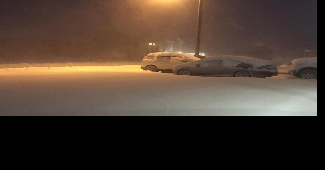 Central Newfoundland wakes up under blanket of snow, 27 cm on ground in ...