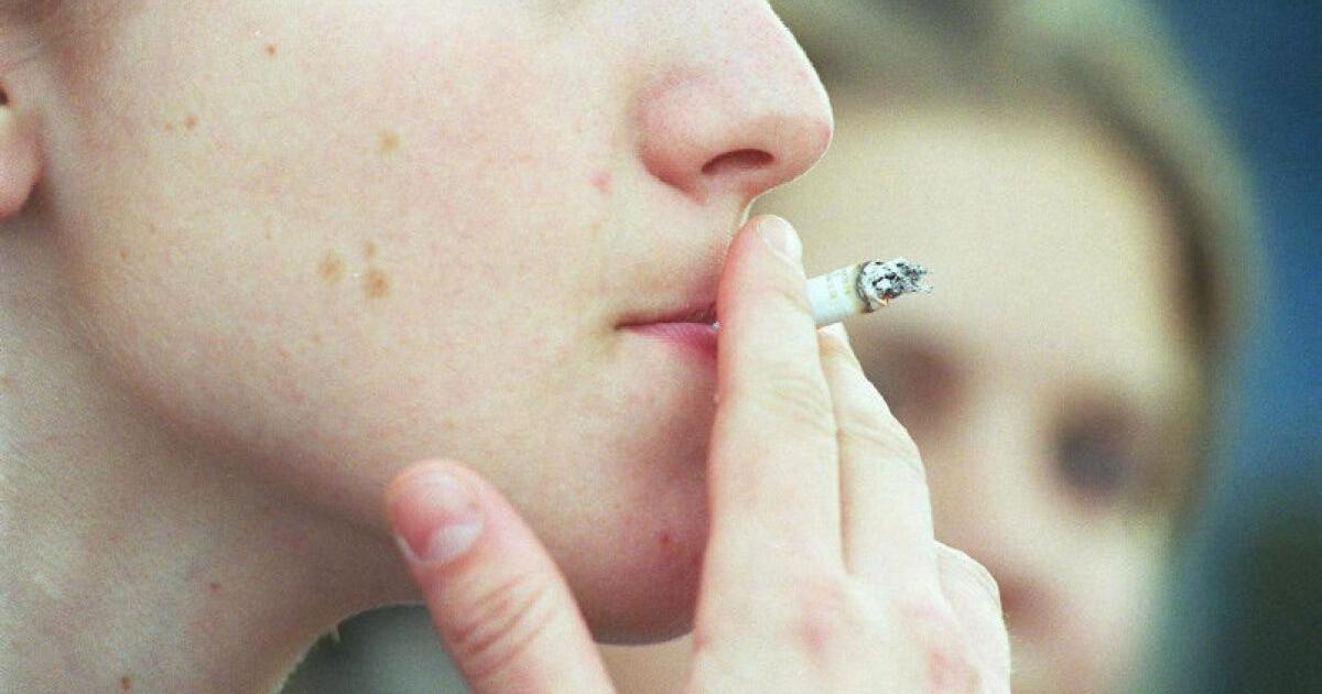 Plain packaging for cigarettes might help dull allure: Teitel