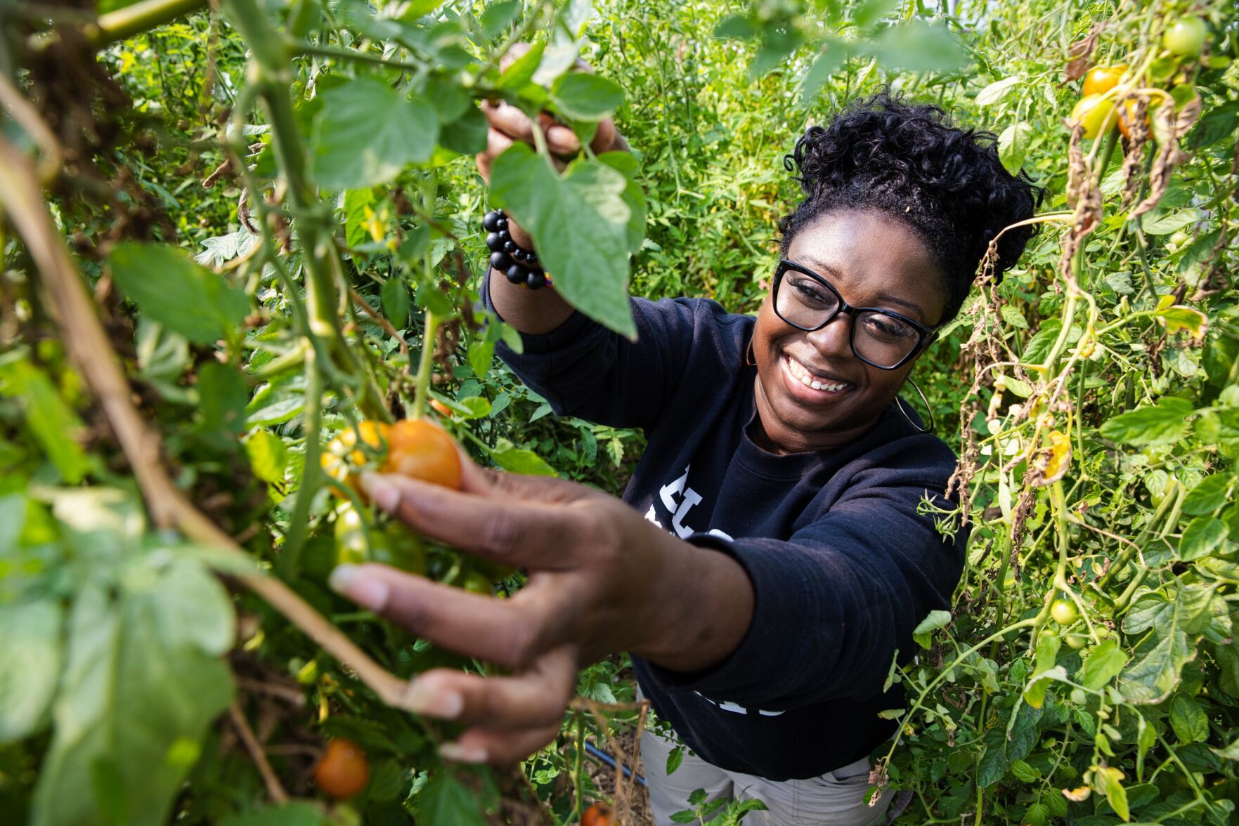 This Toronto’s urban farm’s next step? A new cooking hub