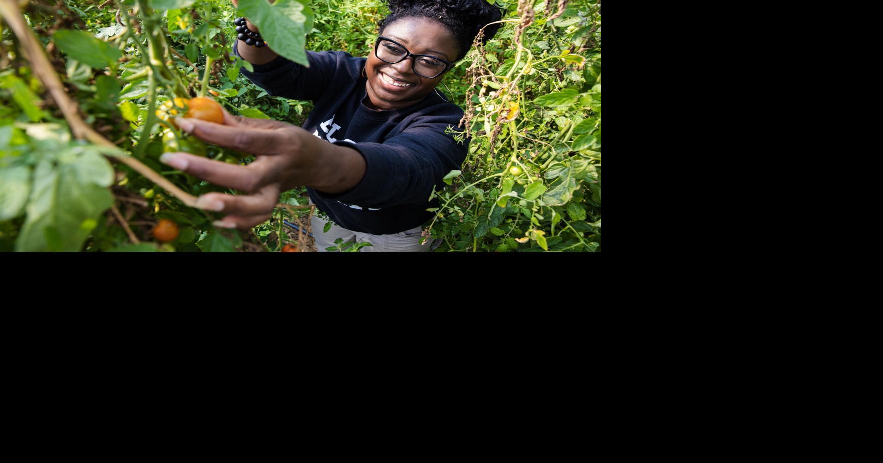 This Toronto’s urban farm’s next step? A new cooking hub