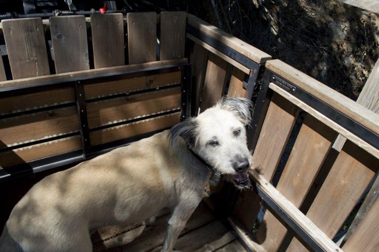 An outdoor lift at the cottage makes for an easy ride to the dock