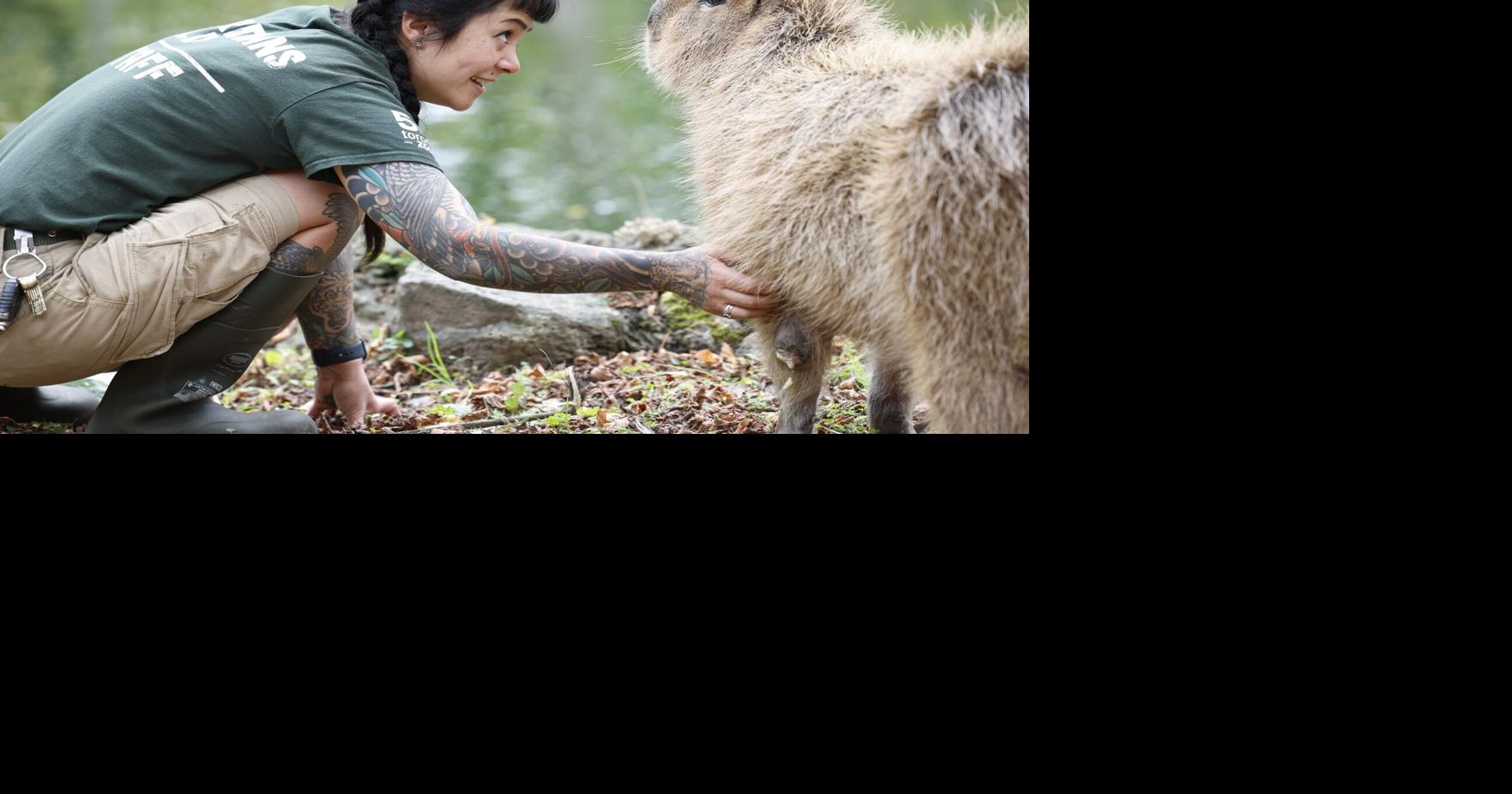 How the Toronto Zoo copes with deaths