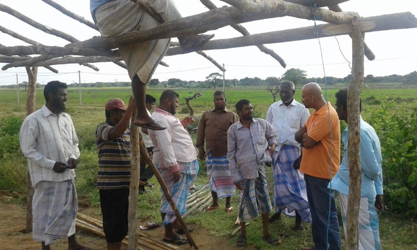 Building locally, acting globally