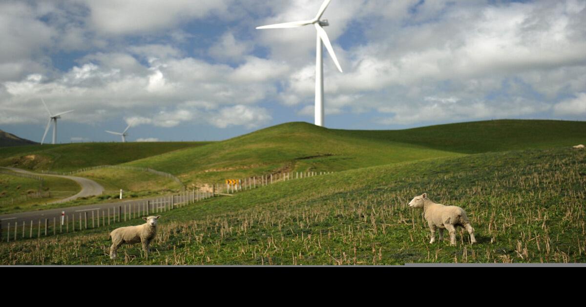 Hamilton: Ottawa U engineers add new spin to wind power
