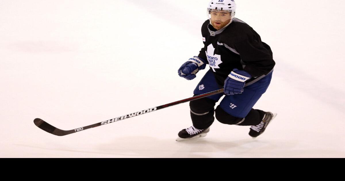 Maple Leafs defenceman Stephane Robidas embraces role of ‘surrogate coach’