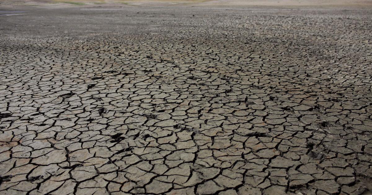 Portugal faces worst drought in more than 20 years